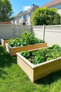 33 Best Home Backyard Design Ideas To Create A Dream Yard